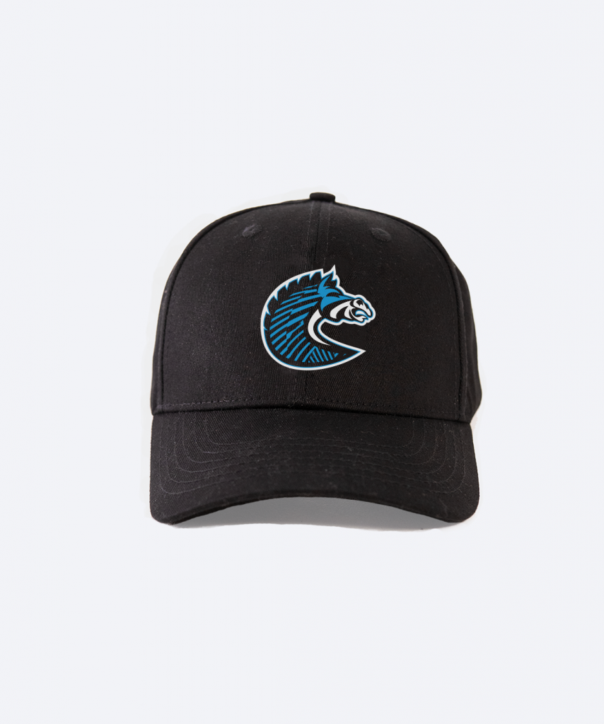 BS+COMPETITION ZEBRA CAP - Raven.GG | Esports Apparel Design & Production