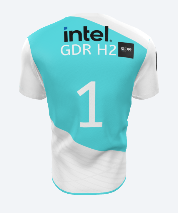 INTEL x GDR ESPORT LIMTED STOCK GAMING JERSEY - Raven.GG | Esports ...