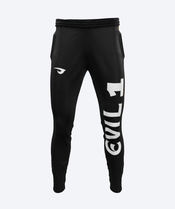 Evil 1 official 2023 pants - Raven.GG | Esports Apparel Design & Production