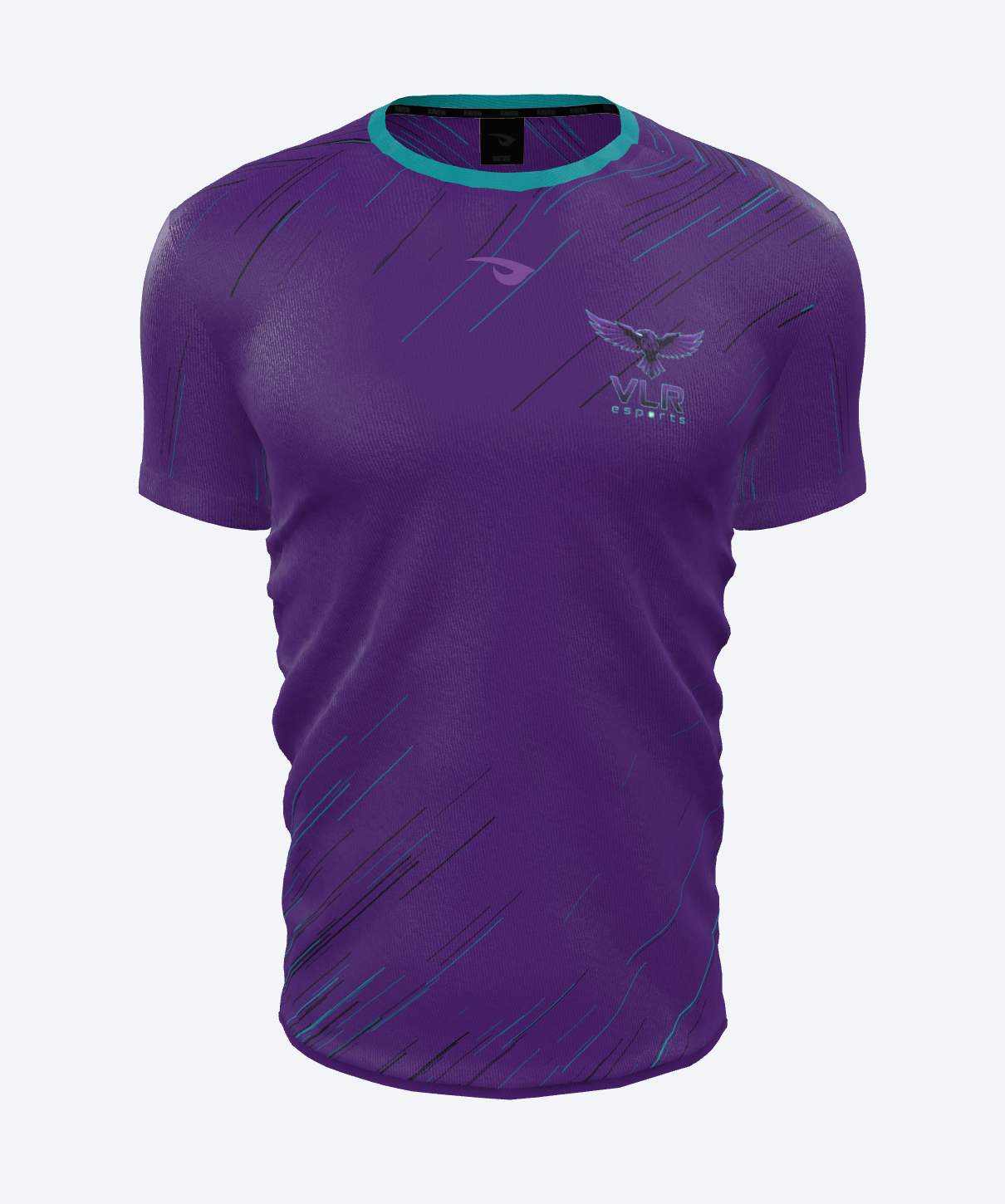 Valor Elite - Raven.GG | Esports Apparel Design & Production