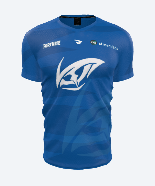 Alight 2026 Blue Jersey - Raven.GG | Esports Apparel Design & Production