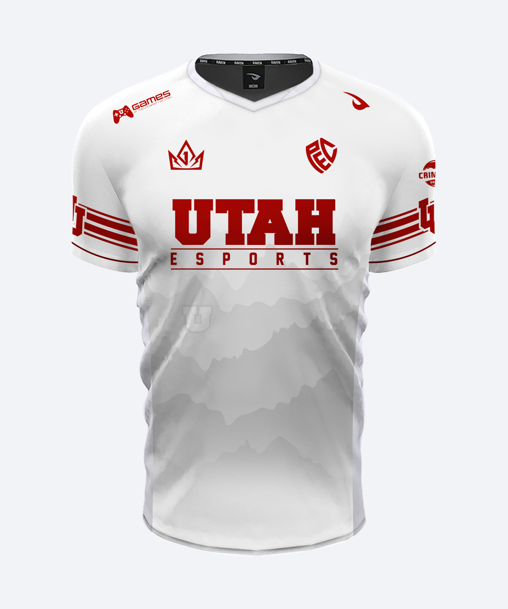 Custom Esports Jerseys | Design, Print & Launch Store